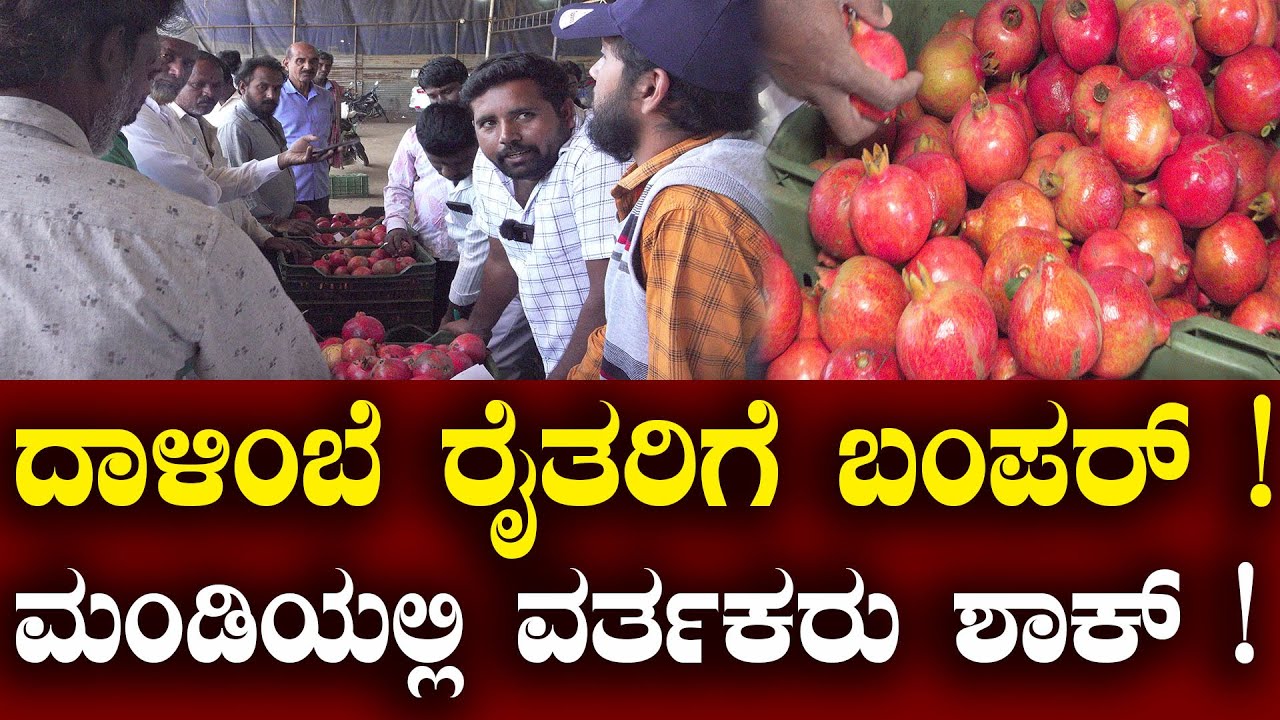 ದಾಳಿಂಬೆ ರೈತರಿಗೆ ಬಂಪರ್ ! ಮಂಡಿಯಲ್ಲಿ ವರ್ತಕರು ಶಾಕ್ ! # Chickballapur # 08 ...