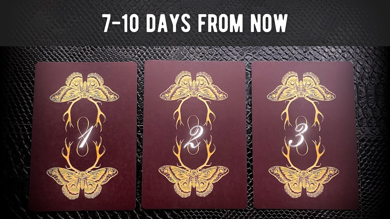 🌹 Pick A Card - 7-10 Days From Now - YouTube