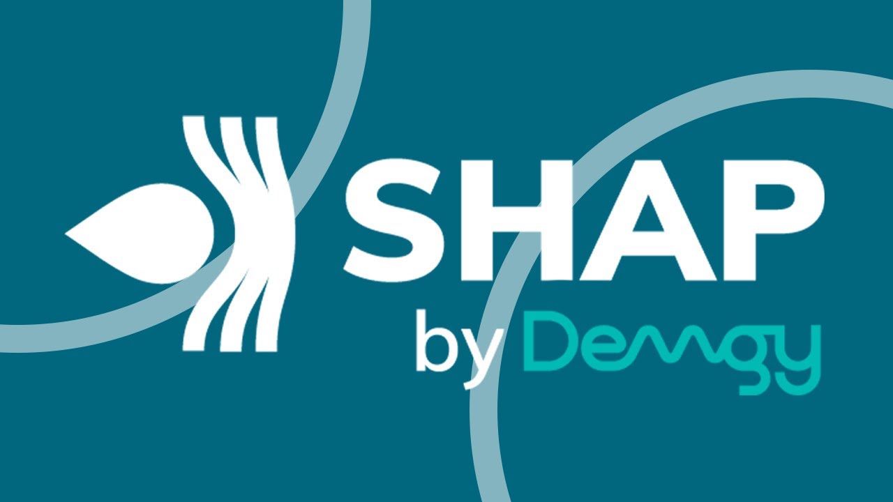SHAP by DEMGY : neutralisateurs anti-IED - YouTube