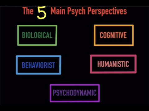 The 5 Main Psych Perspectives - YouTube