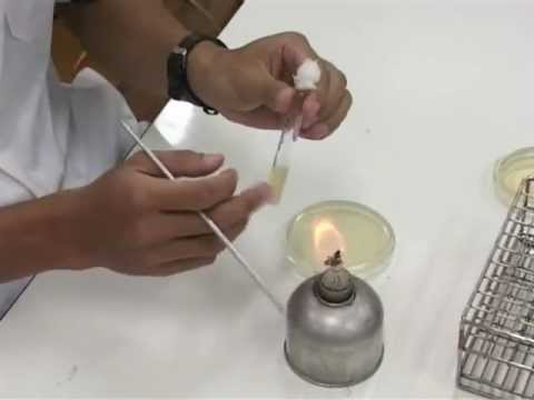 streak plate - YouTube