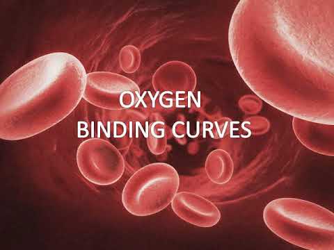 Hemoglobin and Myoglobin: structures, oxygen binding curves, T-state ...