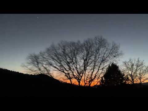 Hozan Dino - Oy Yarê