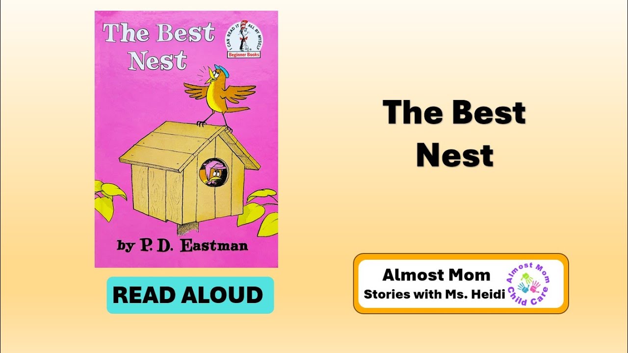 The Best Nest 2025 - YouTube