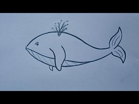 how to draw blue whale 🐳| easy Blue whale drawing for beginners step by ...