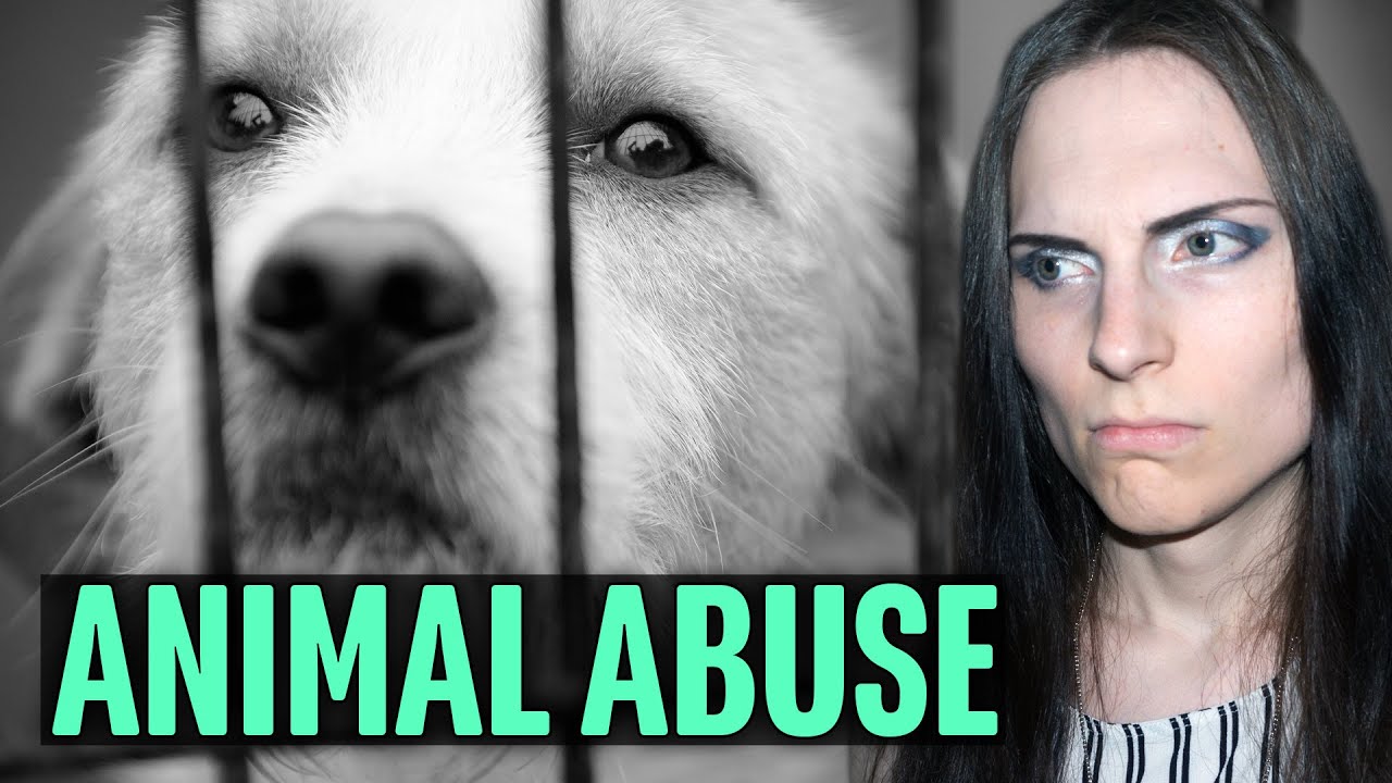 Why People Abuse Animals - YouTube