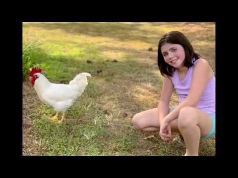 Chicken on a String! - YouTube