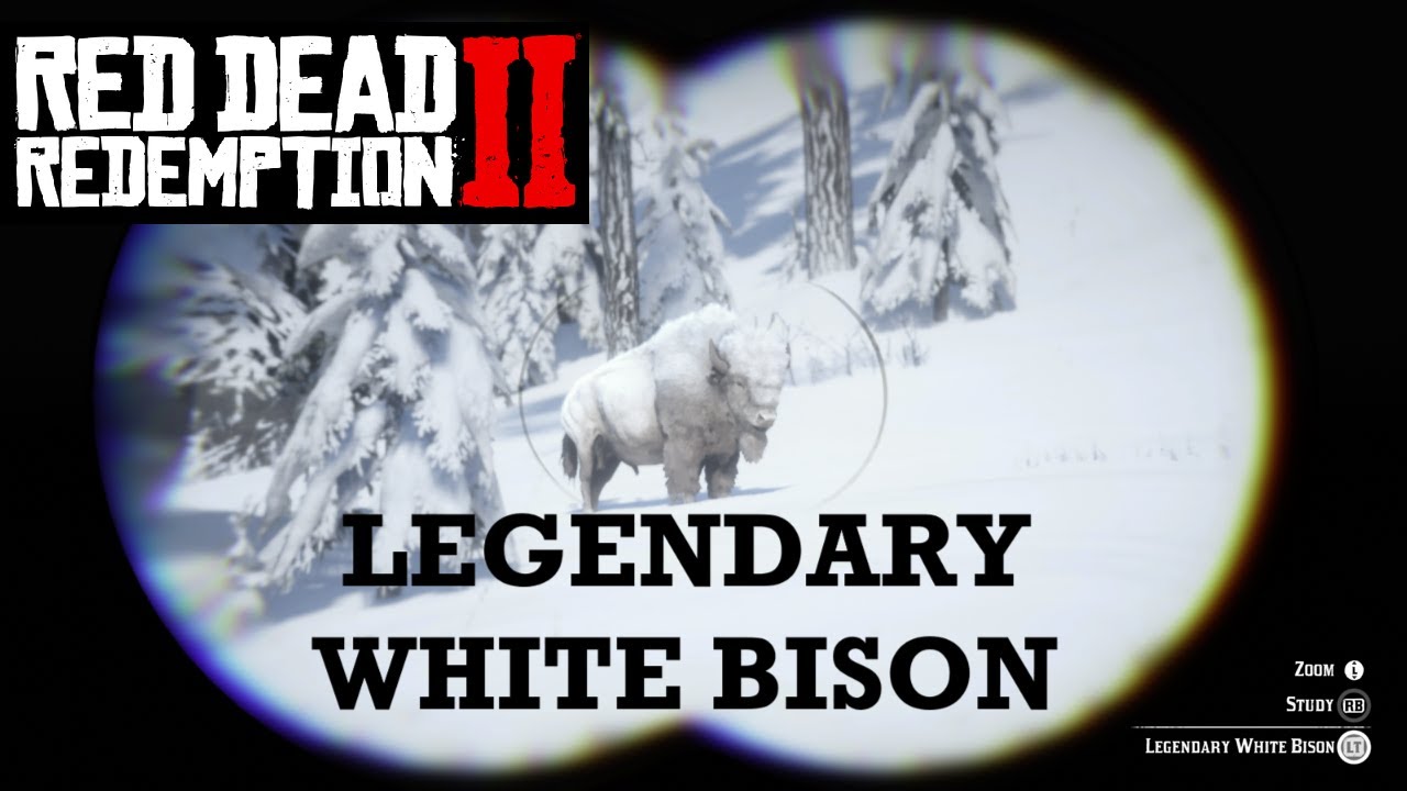 HUNTING THE LEGENDARY WHITE BISON IN RDR2 | Walkthrough - YouTube