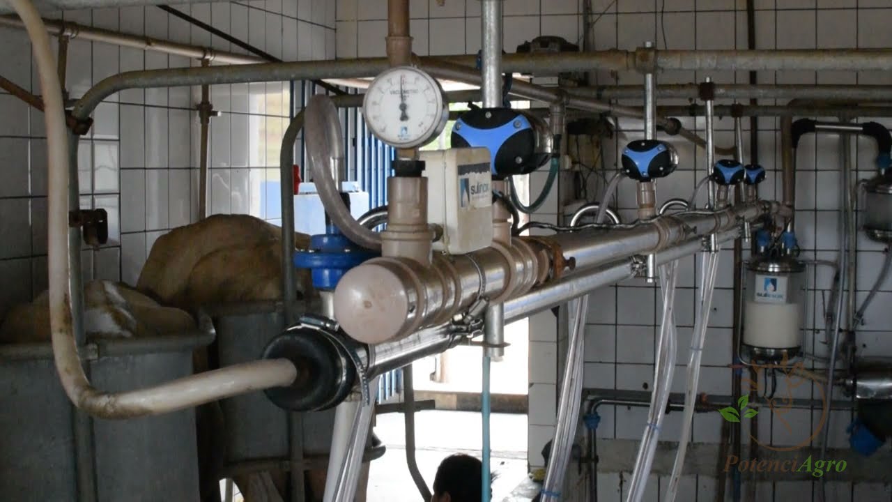 Ordenhadeira Canalizada com 4 conjuntos - Noções básicas de ...