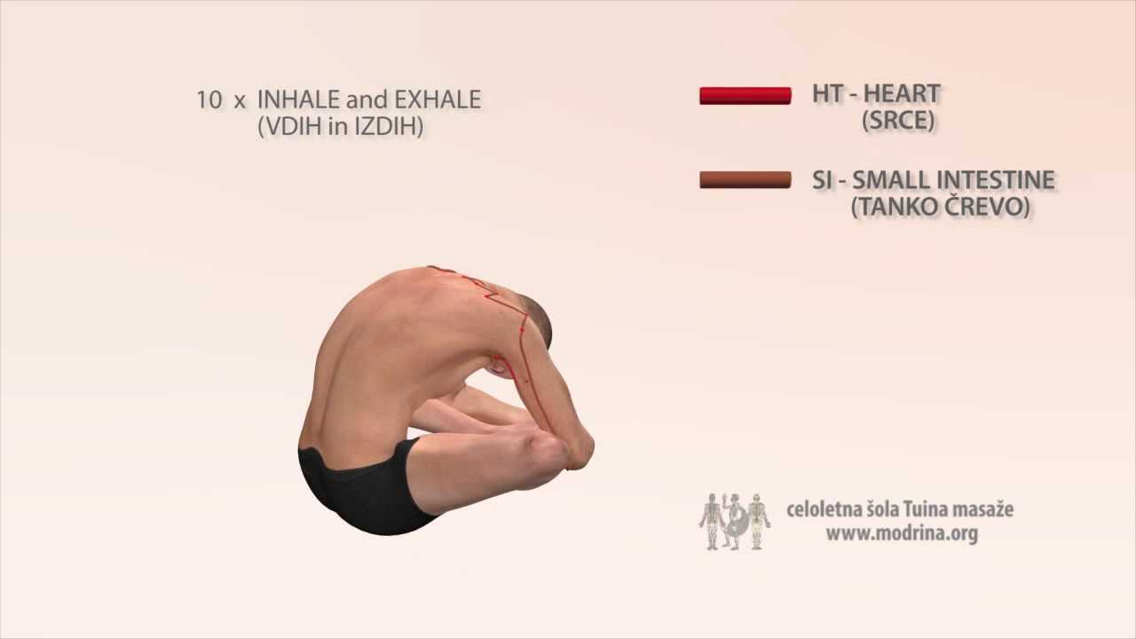 Exercise for meridians of HEART and SMALL INTESTINE - Vaja za odpiranje ...