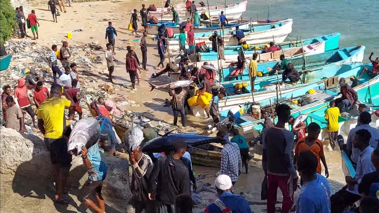 som fishing Port in Indian Ocean sea amazing fishing videos - YouTube