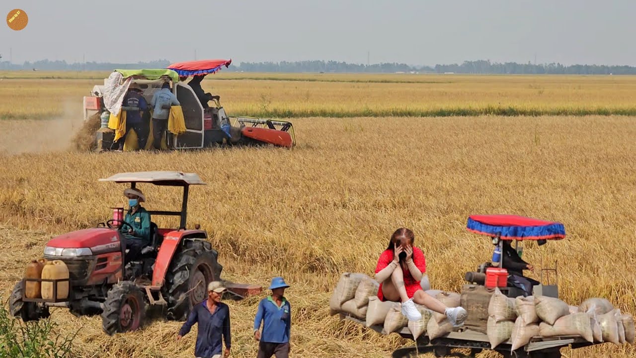 Close-up of super fast rice harvester tractor tiller - YouTube