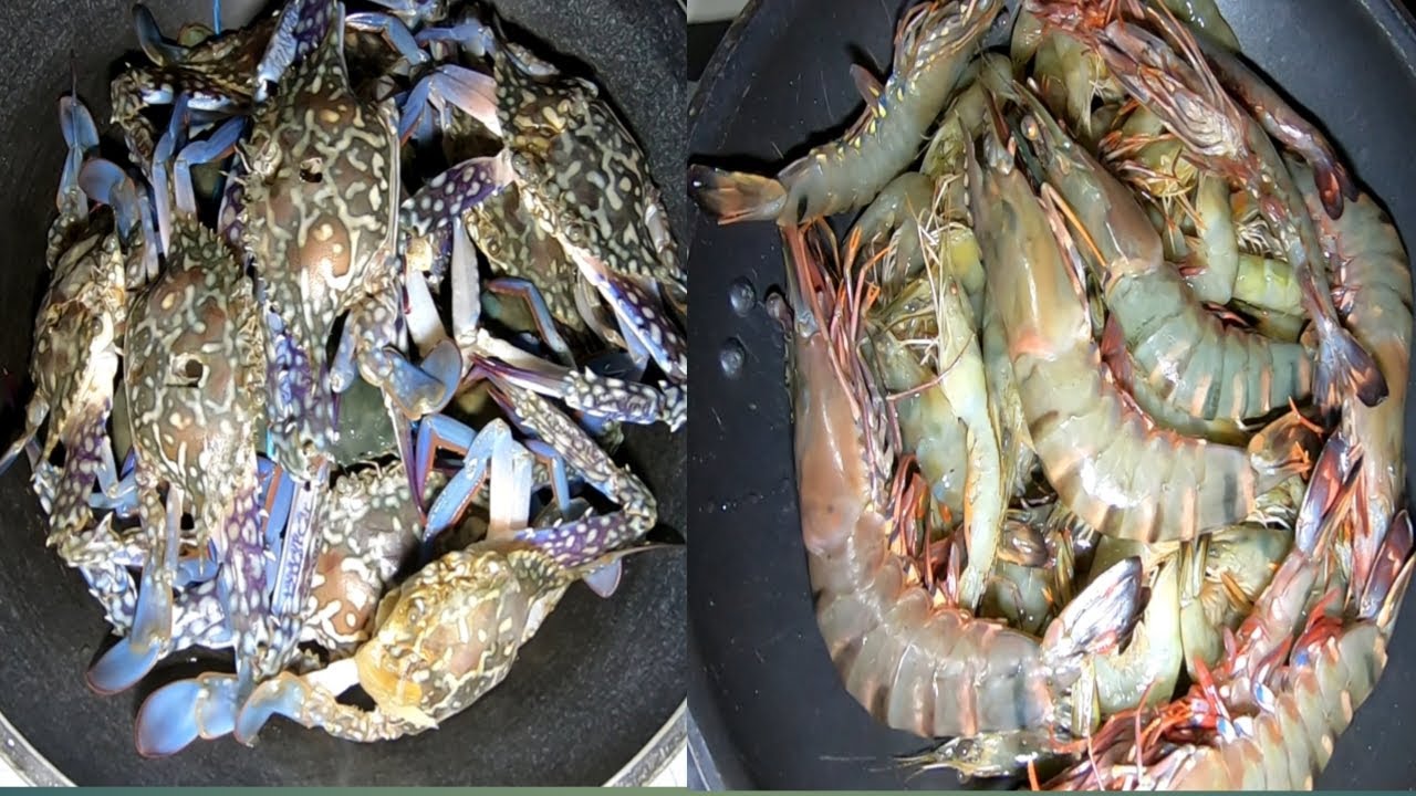 vlog80- Panghuhuli ng Sugpo, Hipon,Alimango at Alimasag sa Ilog PART 3 ...