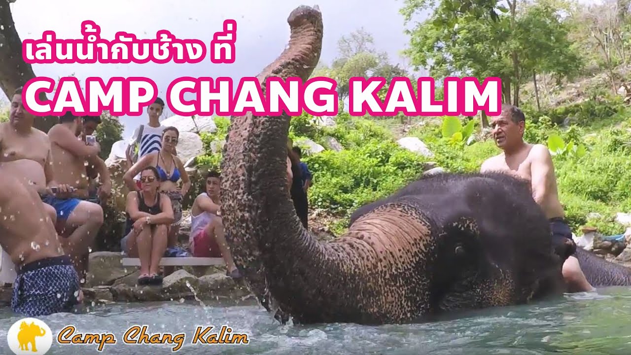 Camp Chang Kalim เล่นน้ำกับช้างที่แคมป์ช้างกะหลิม ป่าตอง ภูเก็ต (Phuket ...