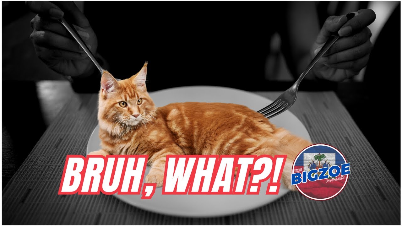 Debunking the Myth: Are Cats Really a Delicacy in Haitian Culture ...