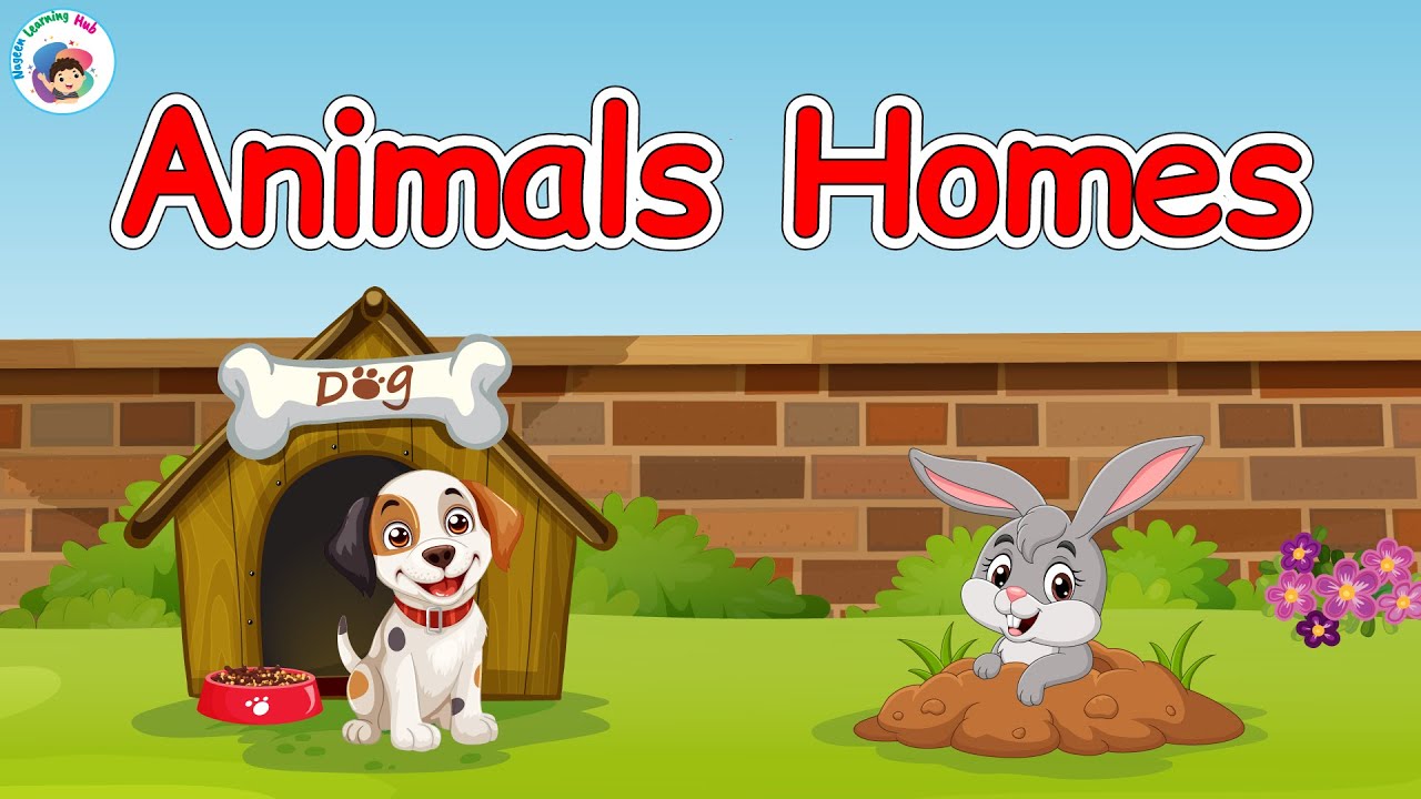 Animals Homes | Match The Animals | Matching Activity | Fun And Learn ...