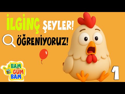 İlginç Şeyler Öğreniyoruz -1- Çocuk Şarkısı | Çocuklar için eğitici ve eğlenceli videolar