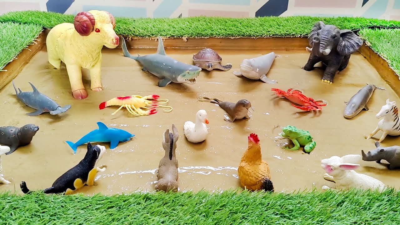 Muddy Farm Animals and Sea Animals Adventure for Toddlers | Playing ...