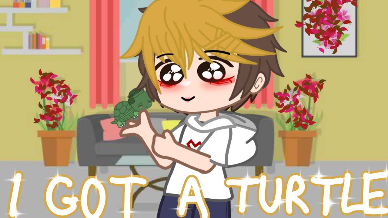 I got a turtle || Gacha Club || Haikyuu || Miya Twins - YouTube