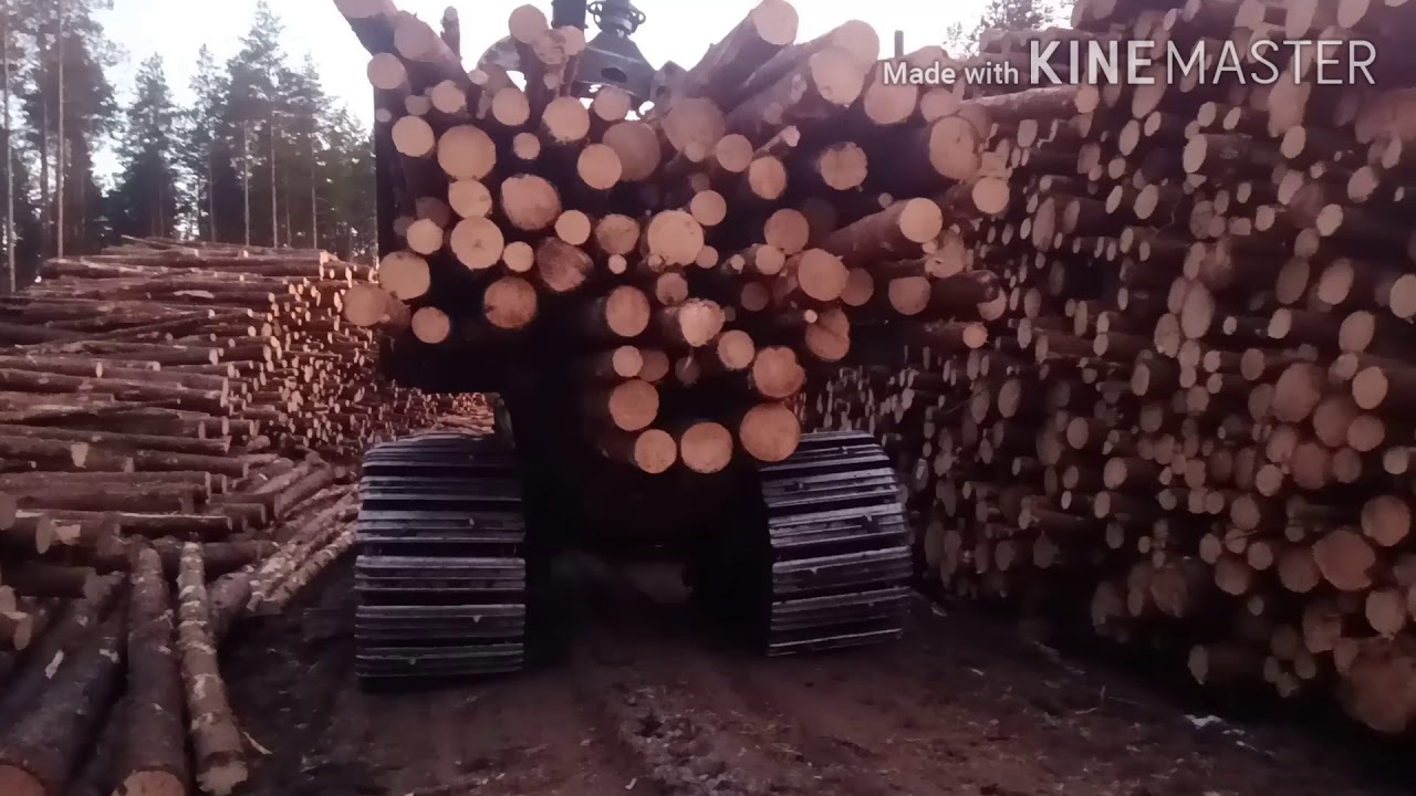 logset 8f 2020 video clip compilation - YouTube