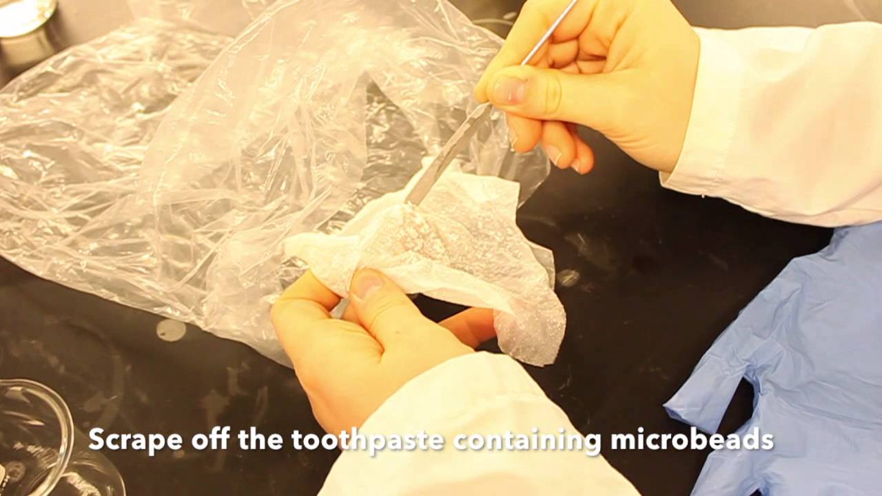 Plastic Microbeads Experiment - YouTube