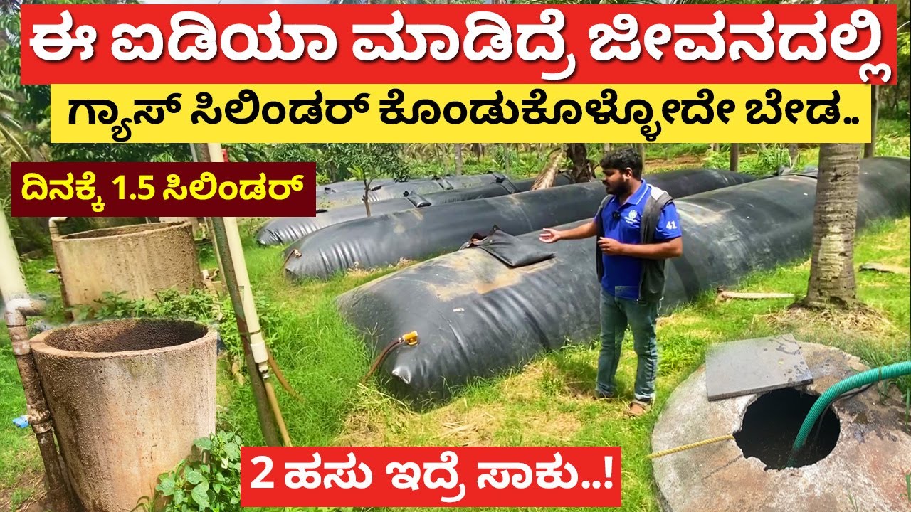 Biogas system in Akshayakalpa dairy farm Karnataka l Gobar gas in ...