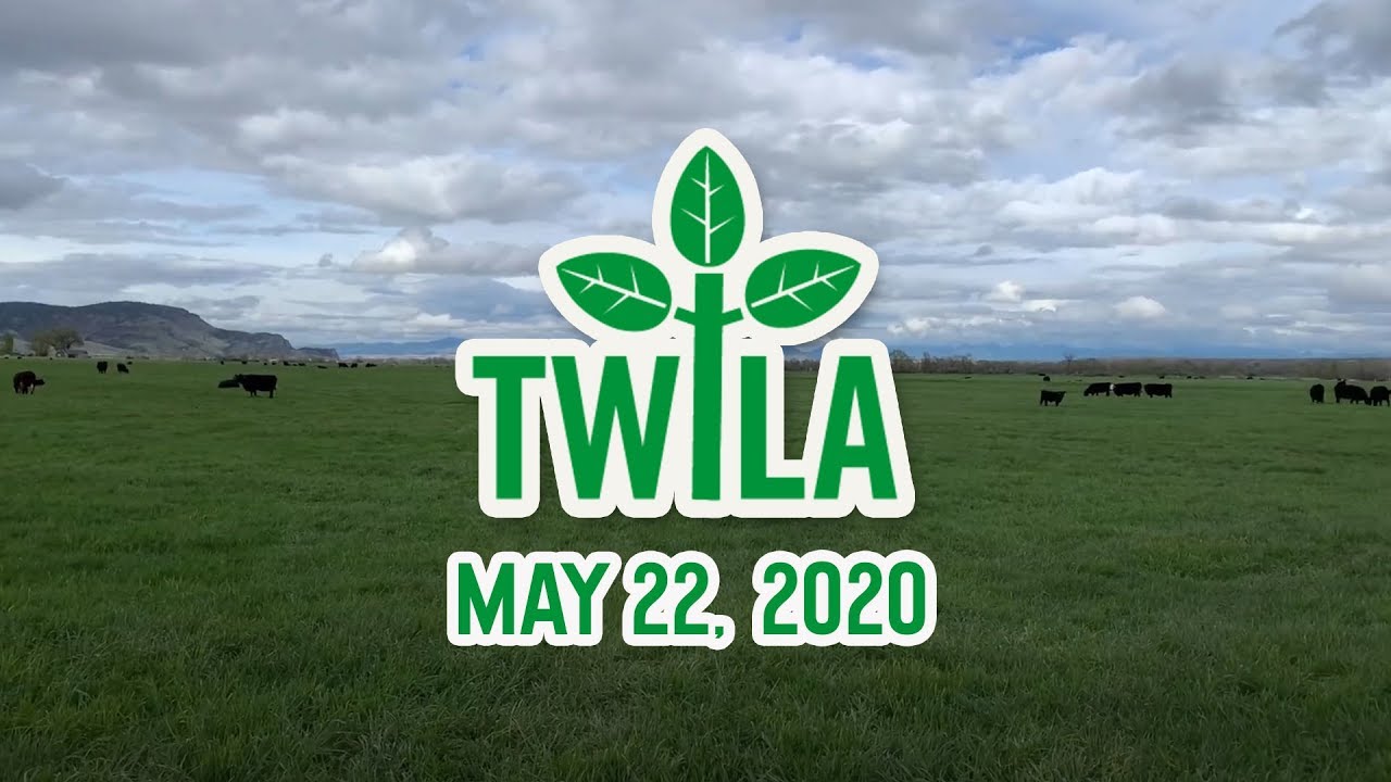 TWILA -- May 22, 2020 - YouTube
