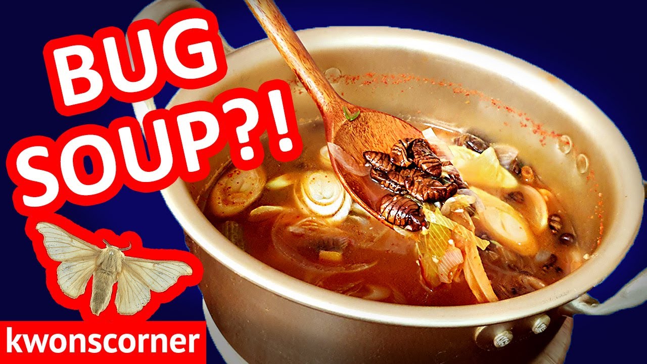 Korean Bug Soup?!: Silkworm Pupa Soup (beondegi tang recipe) - YouTube
