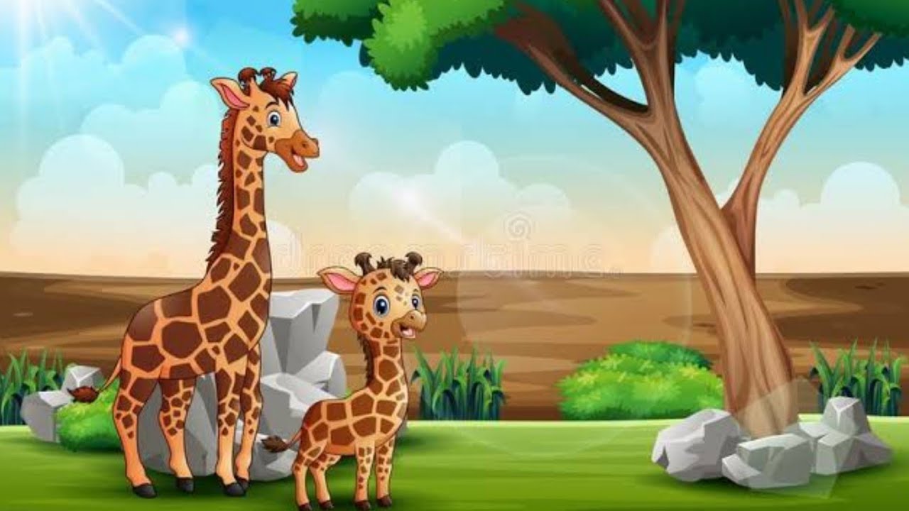 Kids giraffe 🦒gilhari 🐿️animals cartoon video 🦒🐿️🐦 - YouTube