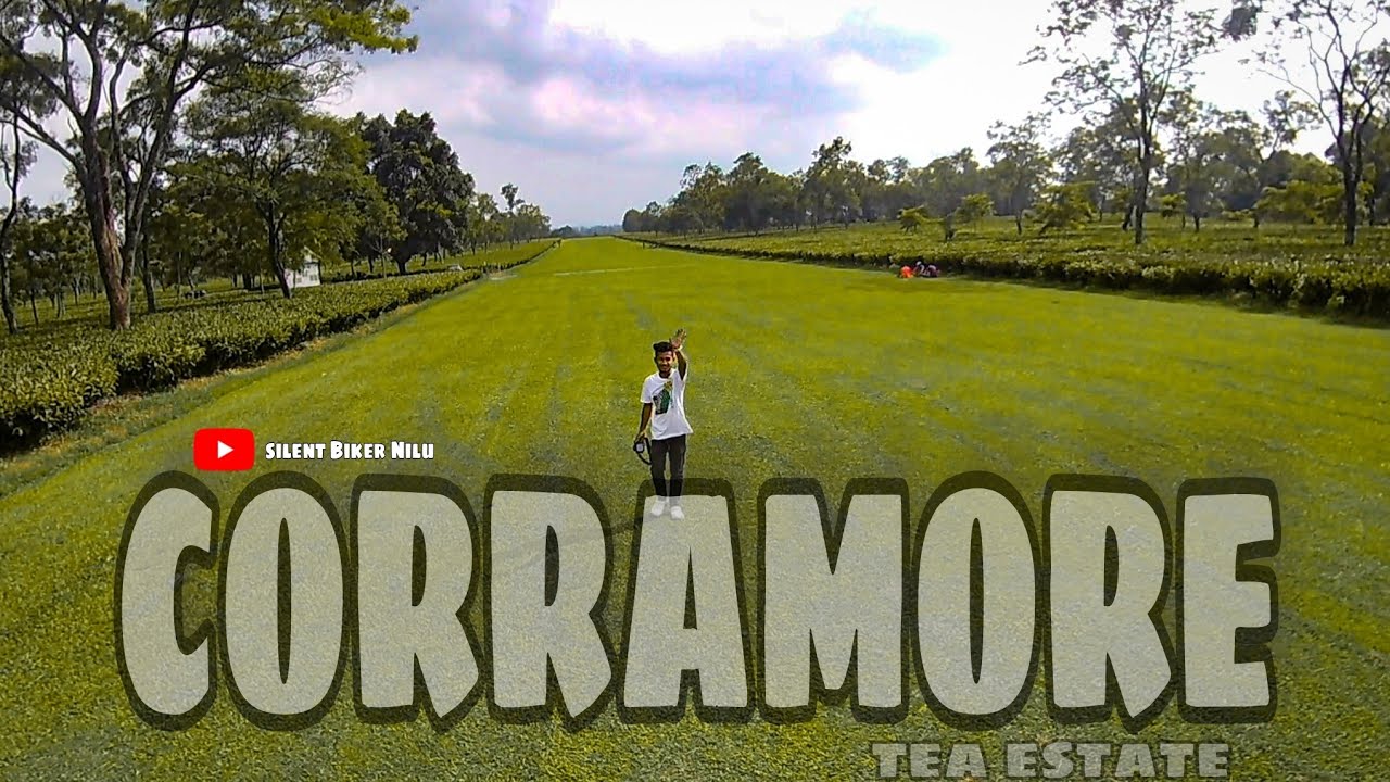 CORRAMORE TEA ESTATE || ASSAMES VLOG || SILENT BIKER NILU - YouTube