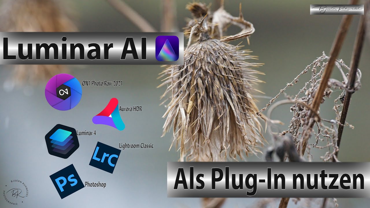 Luminar AI - Als Plug-In nutzen, so gehts! - YouTube
