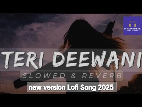 Teri Deewani | Slowed Reverb Lofi | New Version Lofi Song 2025 | Viral Song | @SudinBag - YouTube