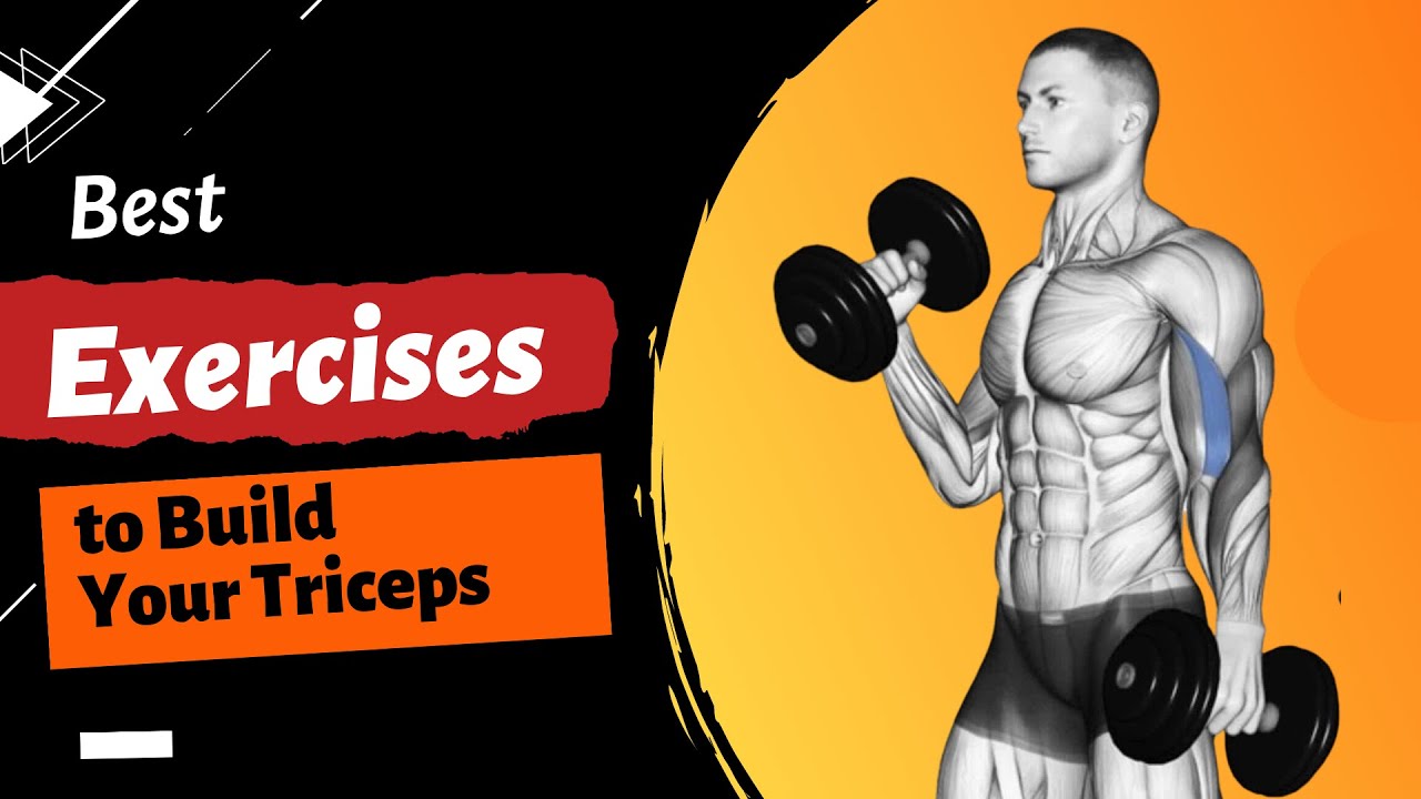 Best Exercise to Build Your Triceps | Workout Teachers - YouTube