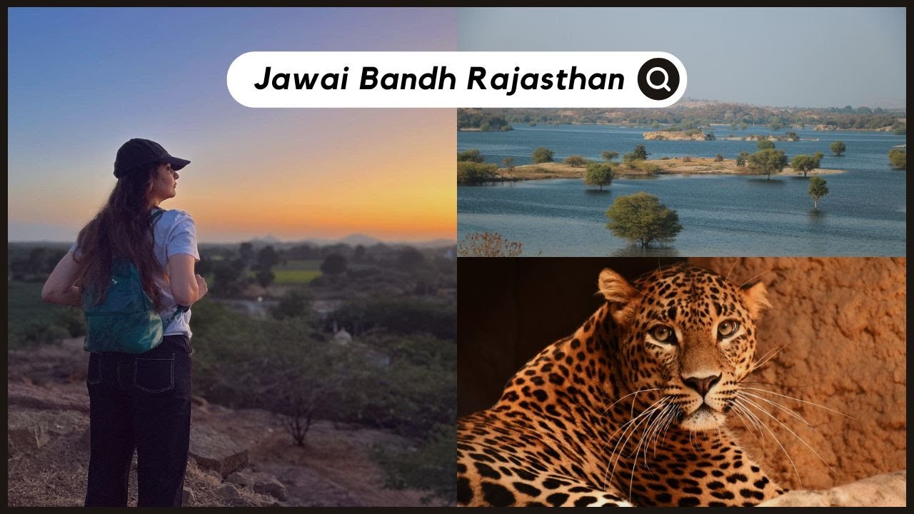 Jawai Bandh Leopard Safari | Jawai Bandh Rajasthan | Bera Rajasthan ...