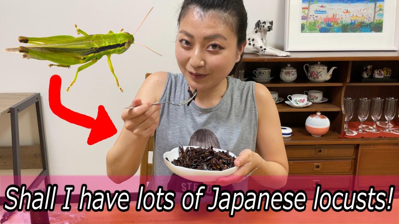 #1 Shall I have lots of Japanese locusts?【mogumogutomoko】【Japanese food ...