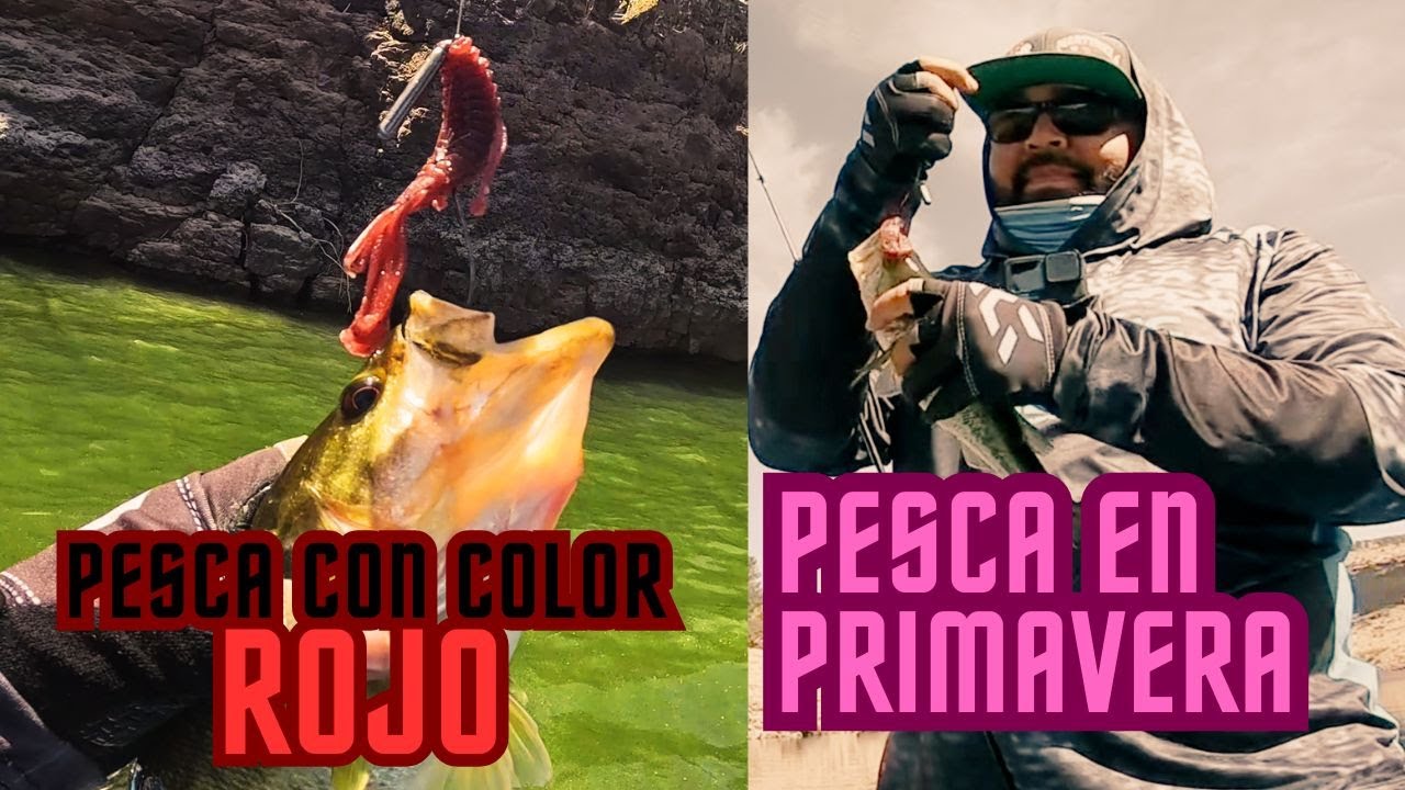 PESCA en PRIMAVERA, pesca con color ROJO - YouTube