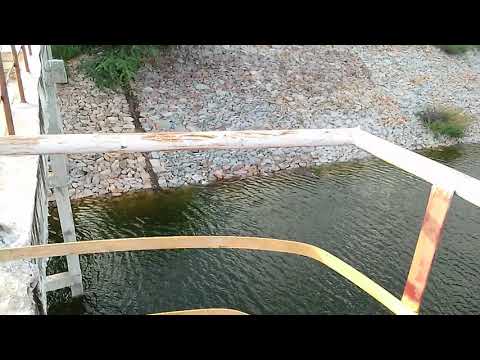 Marala dam - YouTube