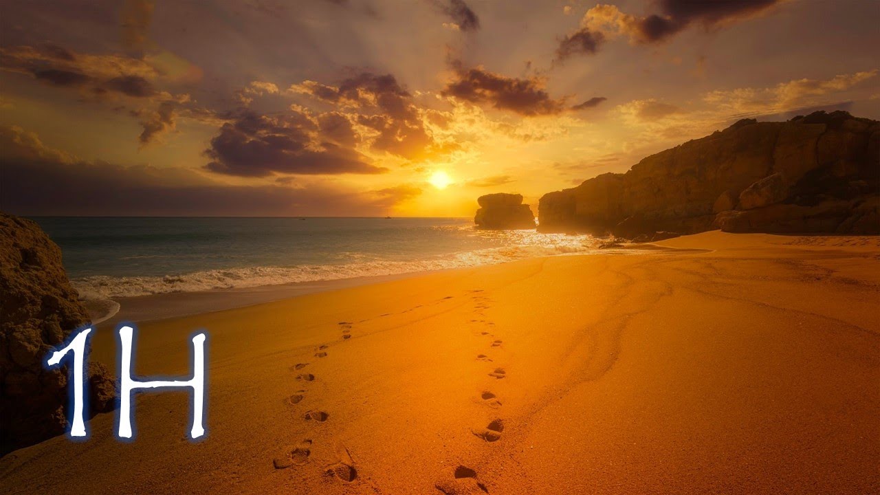 1 HOUR Relaxing Background Music for Reading, Study, Meditation, Yoga ...
