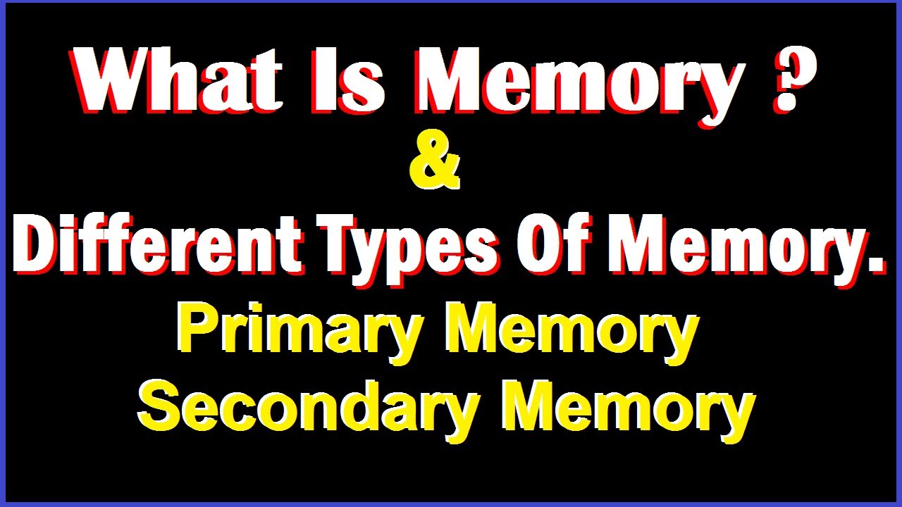 What Is Memory In Computer Different Types Of Memory In Computer What Is Memory In Computer Different Types Of Memory In Computer