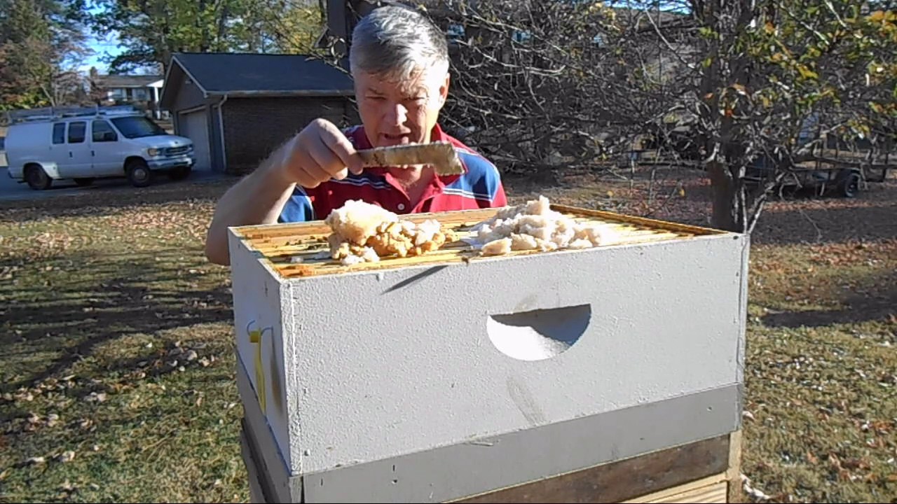 Winter Prep - Stacking a Weaker Hive on Top of a Stronger Hive - Part 1 ...