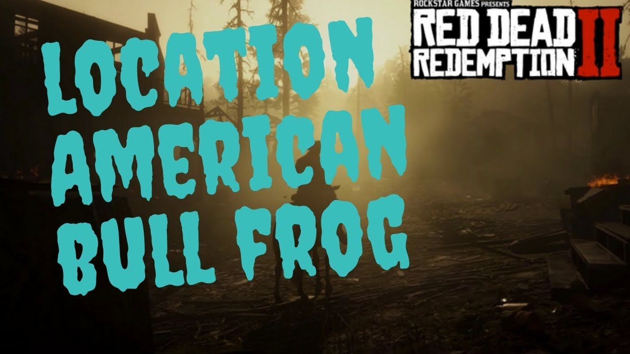 Red Dead Redemption 2 American bullfrog - YouTube