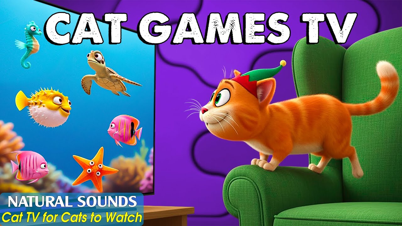 Interactive CAT TV - Cat Games To Keep Your Cat Happy & Relaxed 😸 ...