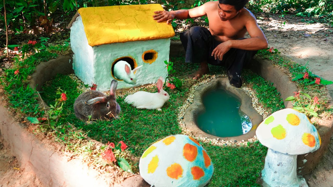 Rescue Rabbit With Disability Legs, Build Castle Mud House and Aquarium ...