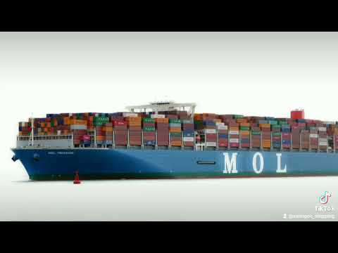 mol truth và ever goods - YouTube