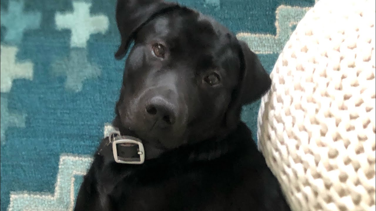 Lol bozo Reach edition - YouTube