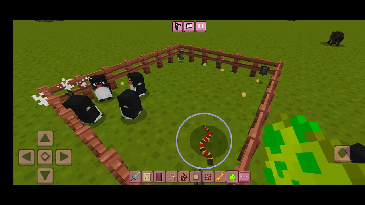 penguin vs coral snake - YouTube