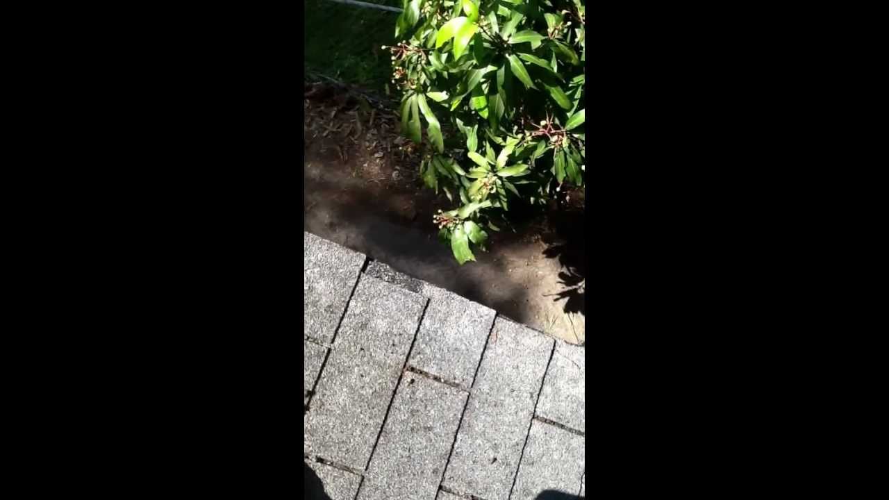 Kid falls off roof and bust's his head wide open - YouTube