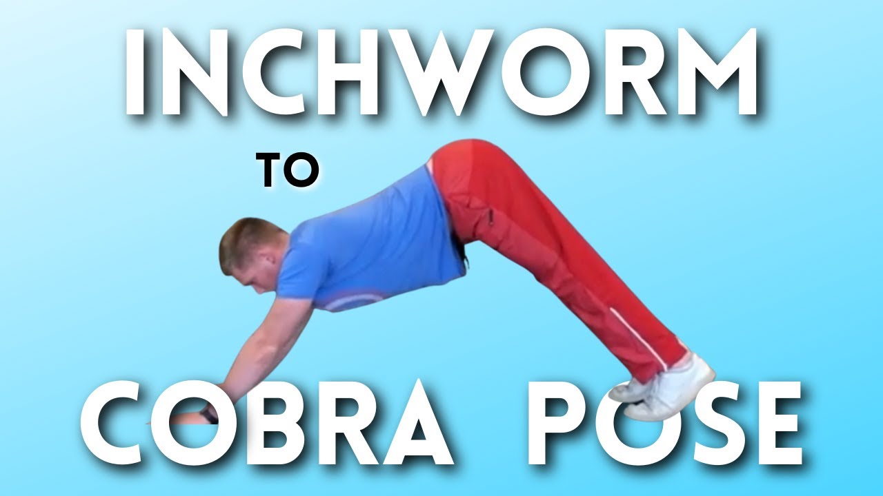 Inchworm to Cobra Pose | STRETCH - YouTube