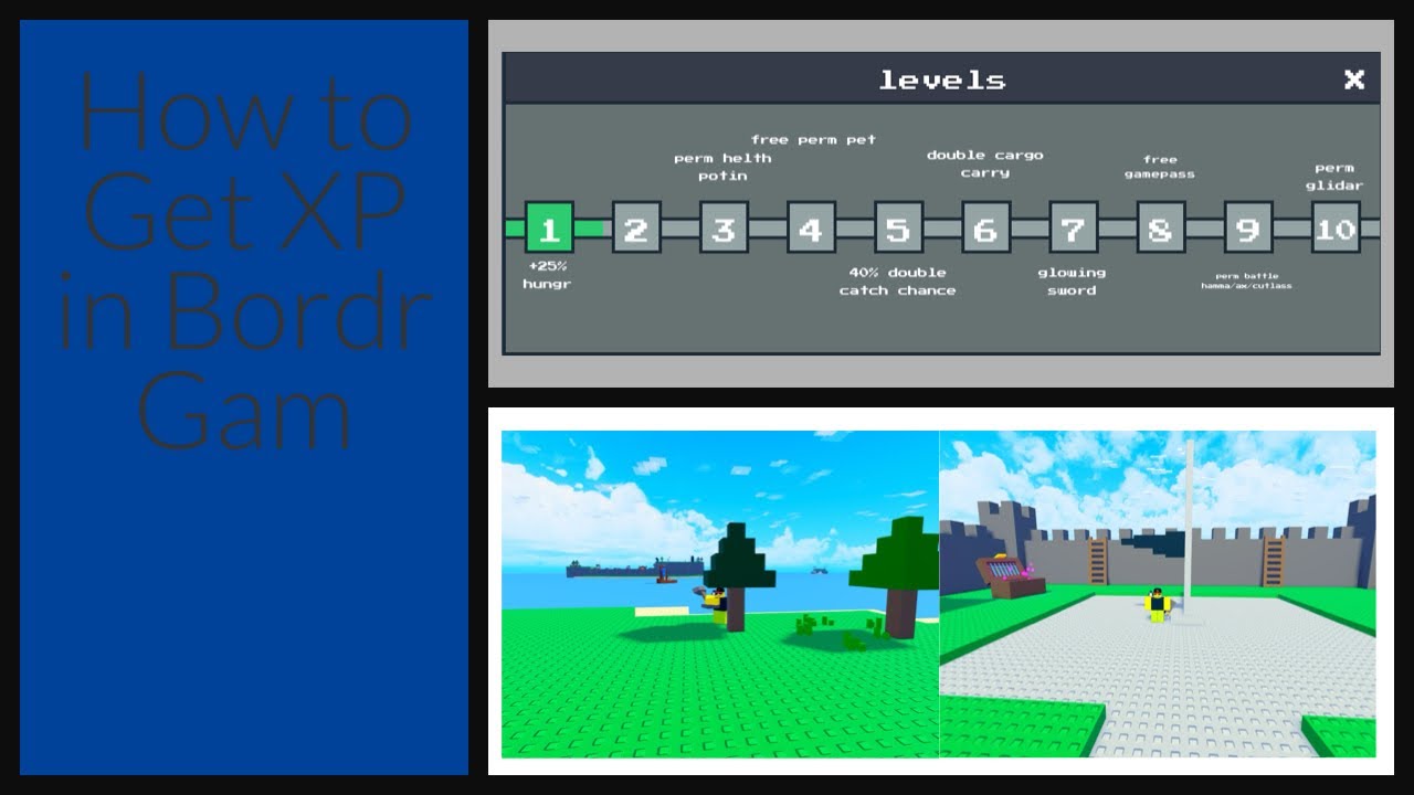 How to get XP in Bordr Gam - YouTube