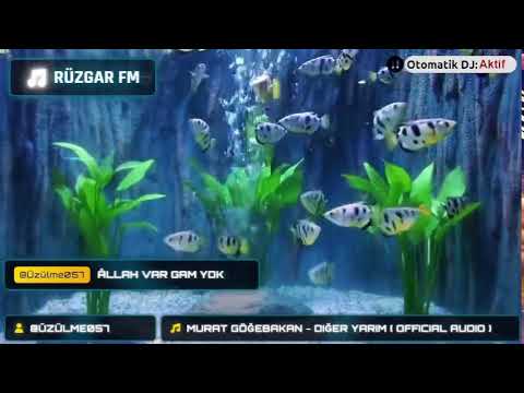 RÜZGAR FM İSTEK YAYINI
